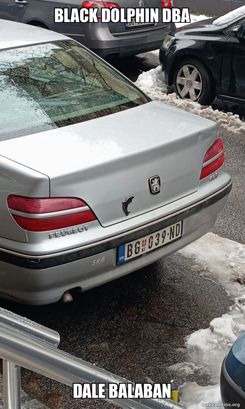 Black dolphin dba Dale balaban Meme Generator