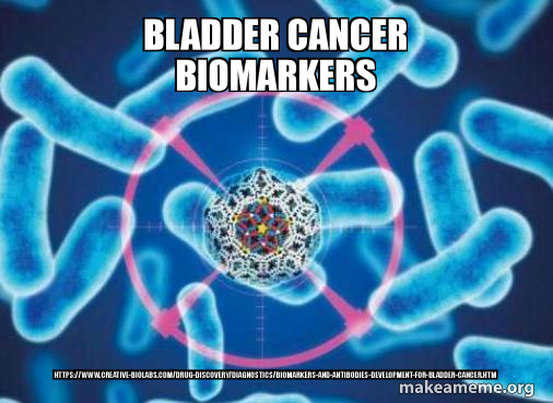 bladder cancer biomarkers https://www.creative-biolabs.com/drug ...