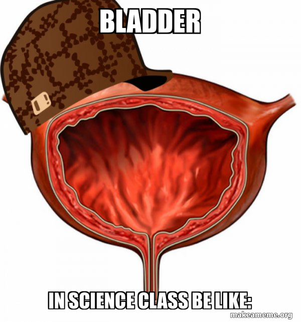 bladder in science class be like: - Scumbag Bladder Meme Generator