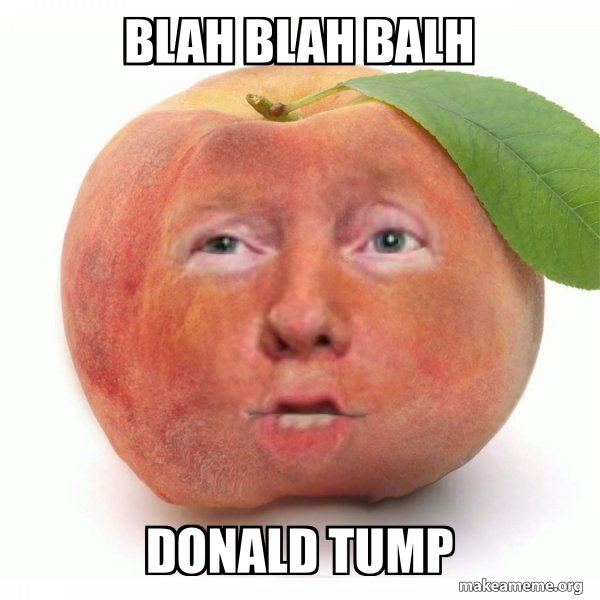 blah blah balh donald tump - Impeached Donald Trump Meme Generator