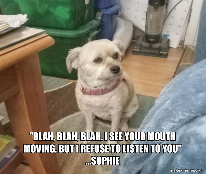 "Blah, blah, blah. I see your mouth moving, but I refuse to listen to ...