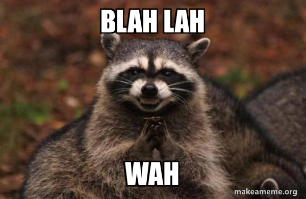 blah lah wah - Evil Plotting Raccoon Meme Generator
