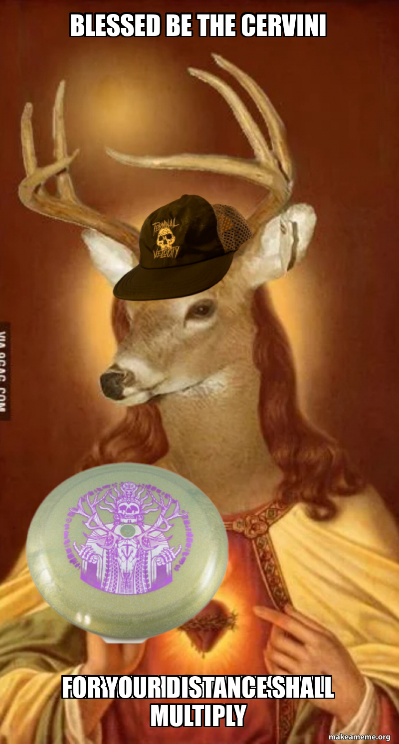 Blessed bE the cervini For your distanCe shall multiply Meme Generator