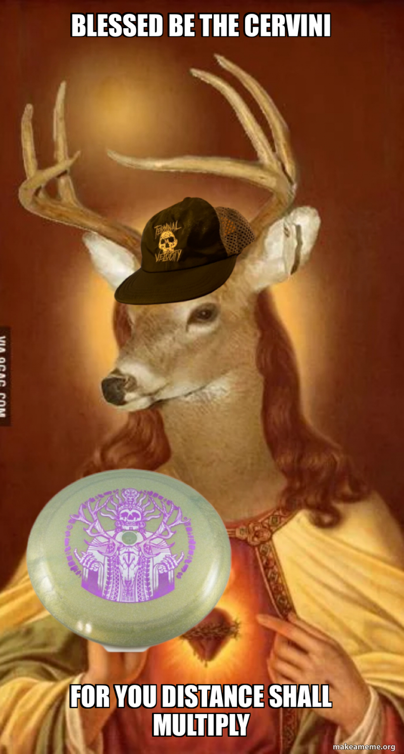 Blessed bE the cervini For you distanCe shall multiply Meme Generator