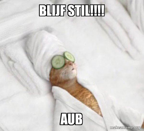 BLIJF STIL!!!! aub - Pampered Cat Meme Meme Generator