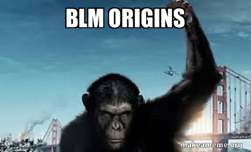 Blm origins Meme Generator