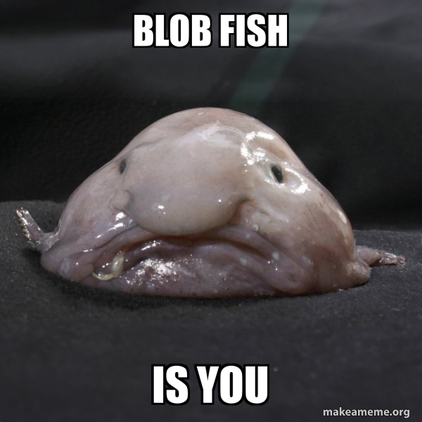 Blob Fish is you - Blobfish Meme Generator