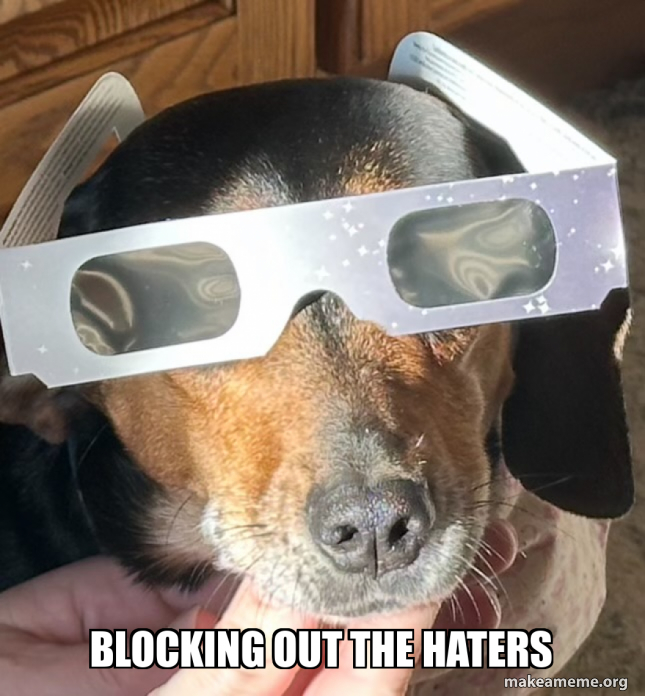 Blocking out the haters Meme Generator