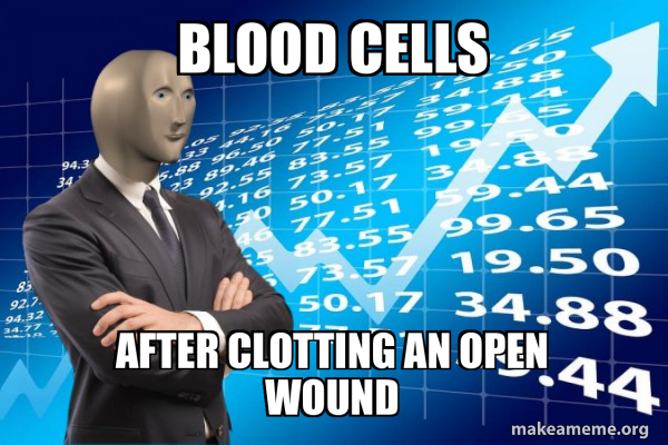 Blood cells after clotting an open wound - Stonks Only Go Up Meme Generator