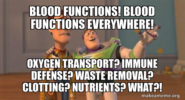 Blood functions! Blood functions everywhere! Oxygen transport? Immune ...