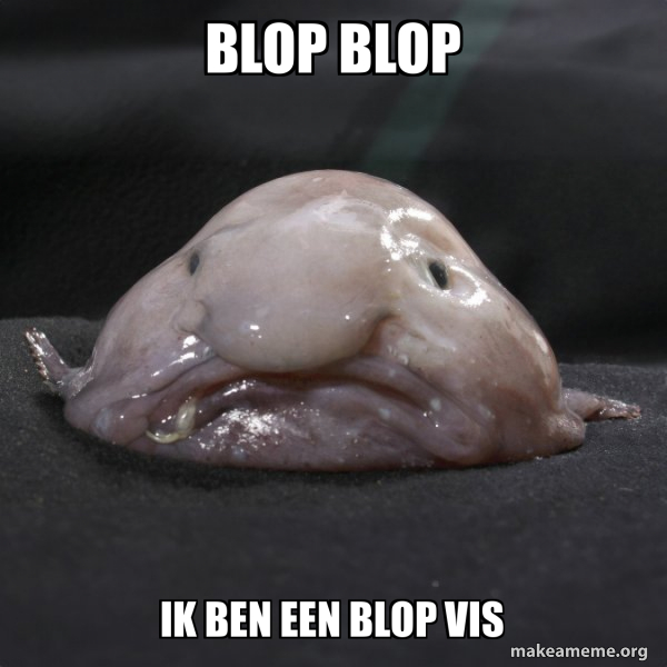 blop blop ik ben een blop vis - Blobfish Meme Generator