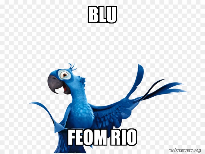 Blu Feom rio Meme Generator