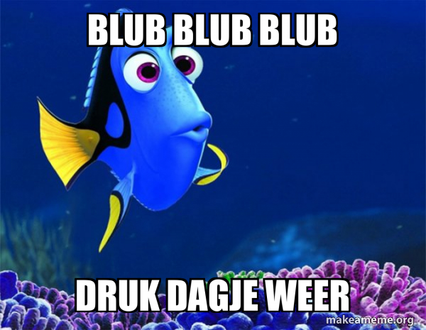 blub blub blub druk dagje weer - Dory from Nemo (5 second memory) Meme ...