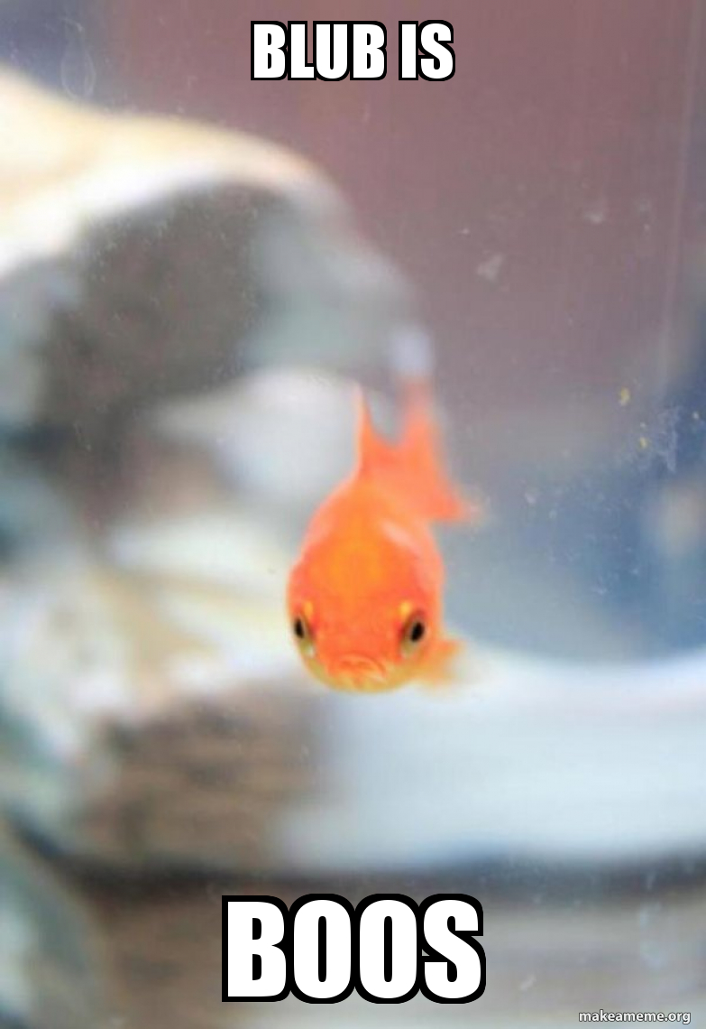 blub is boos - Grumpy Fish Meme Generator