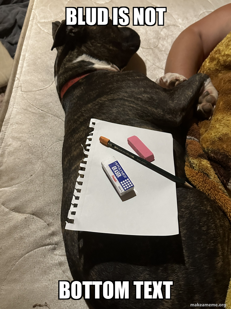 blud is not bottom text Meme Generator