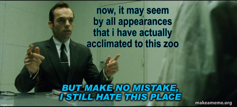 - blue babylon Meme Generator