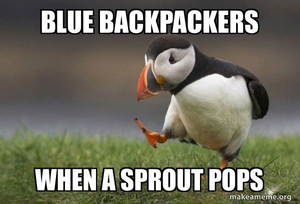 Blue Backpackers When a sprout pops - Unpopular Opinion Puffin Meme ...