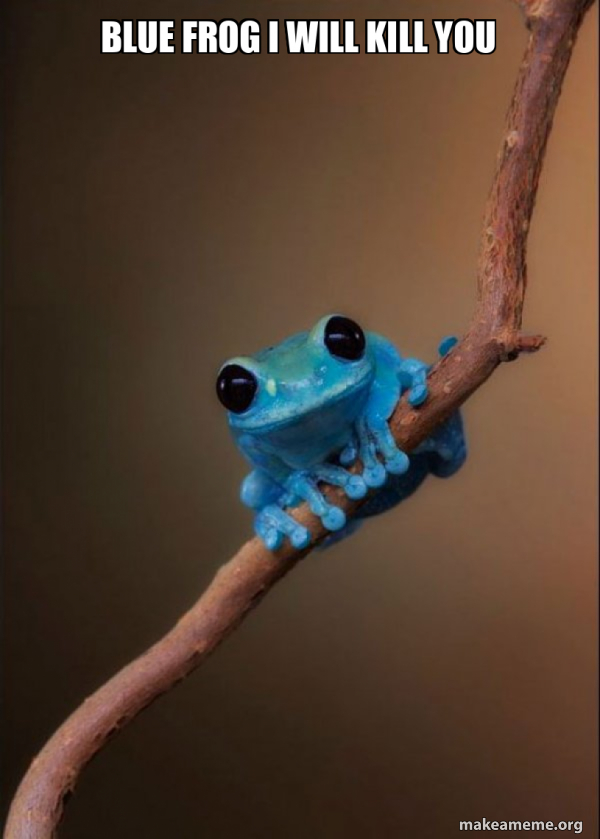 blue frog i will kill you - Small Fact Frog Meme Generator