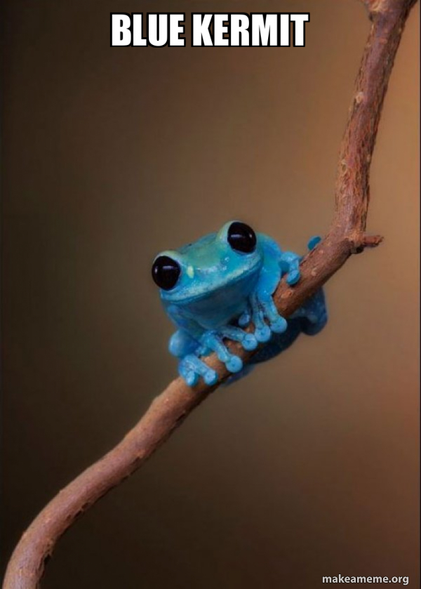 Blue Kermit - Small Fact Frog Meme Generator