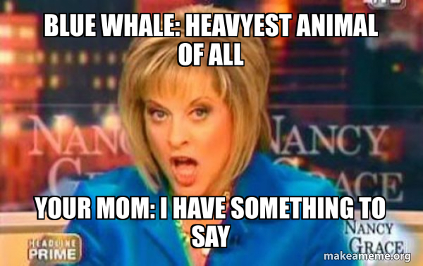 Blue Whale Heavyest Animal Of All Your Mom I Have Something To Say blue-whale-heavyest-animal-of-all-your-mom-i-have-something-to-say