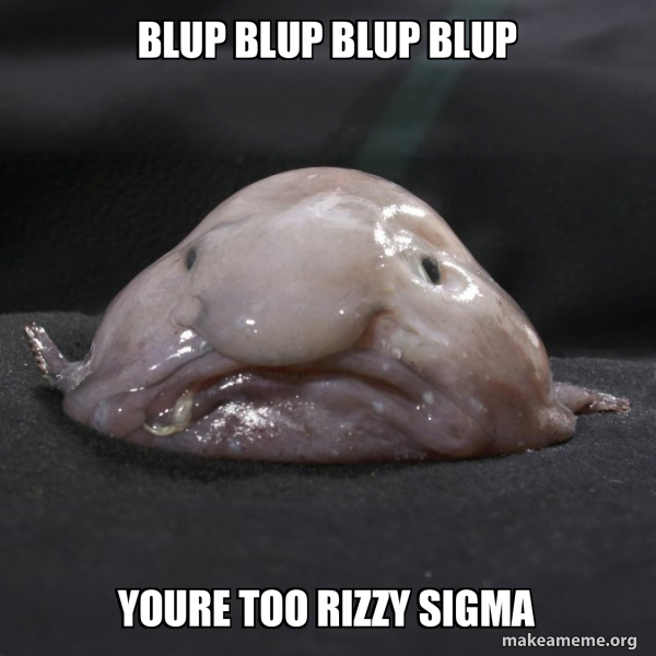blup blup blup blup youre too rizzy sigma - Blobfish Meme Generator