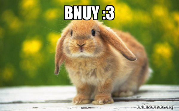 Bnuy :3 - Regretful Rabbit Meme Generator