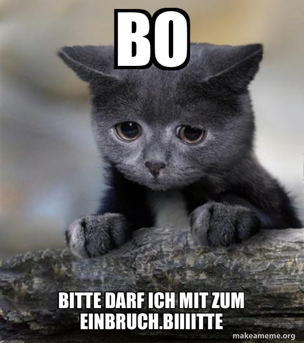 Bo Bitte darf ich mit zum Einbruch.Biiiitte - Confession Cat Meme Generator