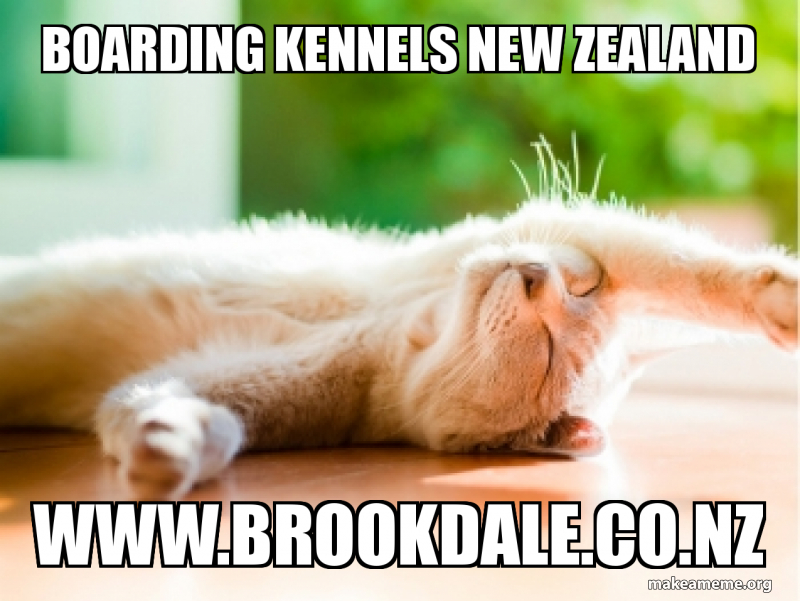 Boarding Kennels New Zealand www.brookdale.co.nz - Boarding Kennels New ...