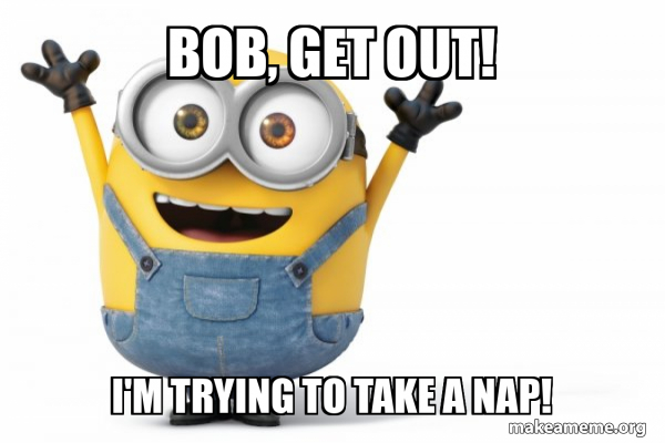 Bob, get out! I'm trying to take a nap! - Happy Minion Meme Generator