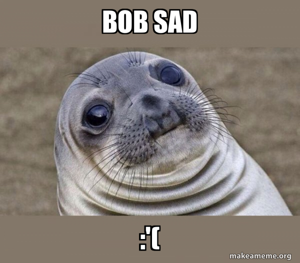 BOB SAD :'( - Squeamish Seal Meme Generator
