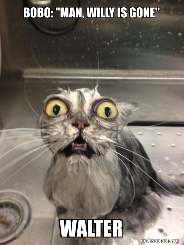 Bobo: "Man, Willy is gone" Walter - Cat bath Meme Generator