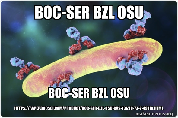 Boc-Ser Bzl OSu Boc-Ser Bzl OSu https://aapep.bocsci.com/product/boc ...