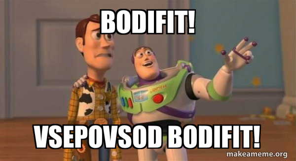 BODIFIT! VSEPOVSOD BODIFIT! - Buzz and Woody (Toy Story) Meme Meme ...
