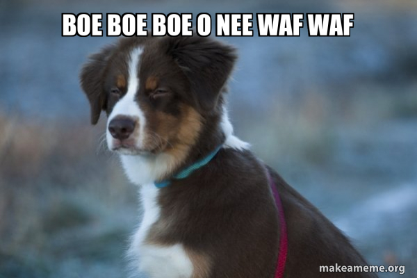 Boe boe boe o nee waf waf - Unsure Dog Meme Generator