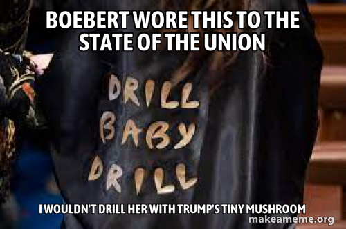 Boebert wore this to the State of the union I wouldn't drill her with ...