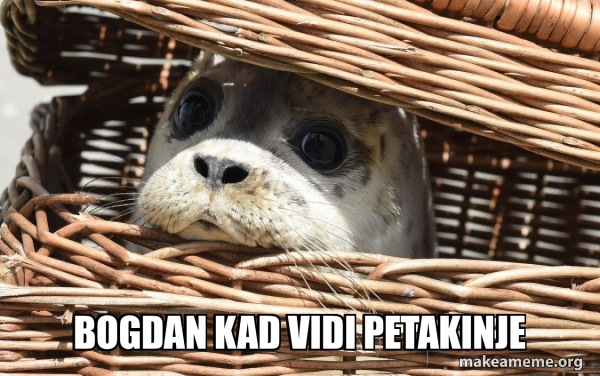 bogdan kad vidi petakinje - Impending Doom Seal Meme Generator