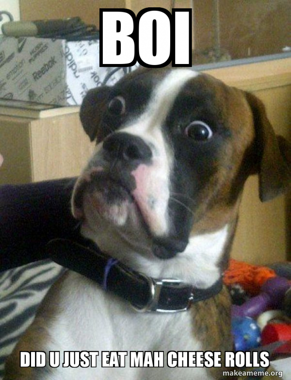 boi did u just eat mah cheese rolls - Skeptical Dog Meme Generator