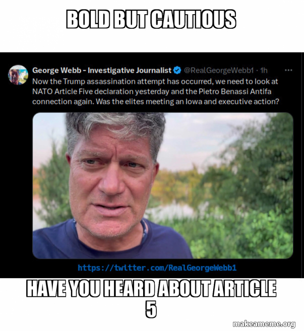 bold but cautious have you heard about article 5 Meme Generator