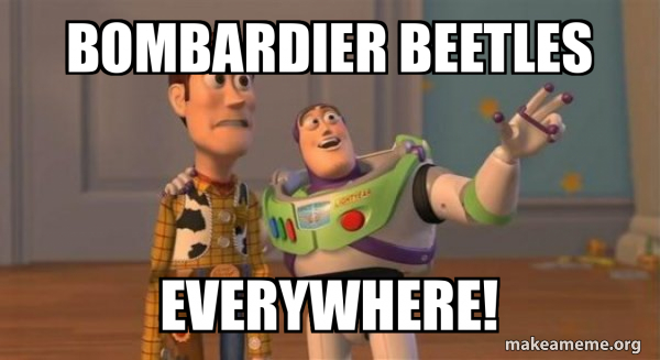 BOMBARDIER BEETLES EVERYWHERE! - Buzz and Woody (Toy Story) Meme Meme ...