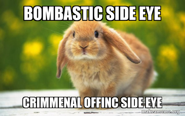 bombastic side eye crimmenal offinc side eye - Regretful Rabbit Meme ...