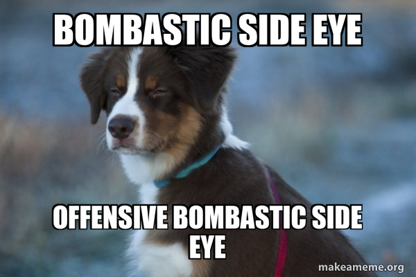 BOMBASTIC SIDE EYE OFFENSIVE BOMBASTIC SIDE EYE - Unsure Dog Meme Generator
