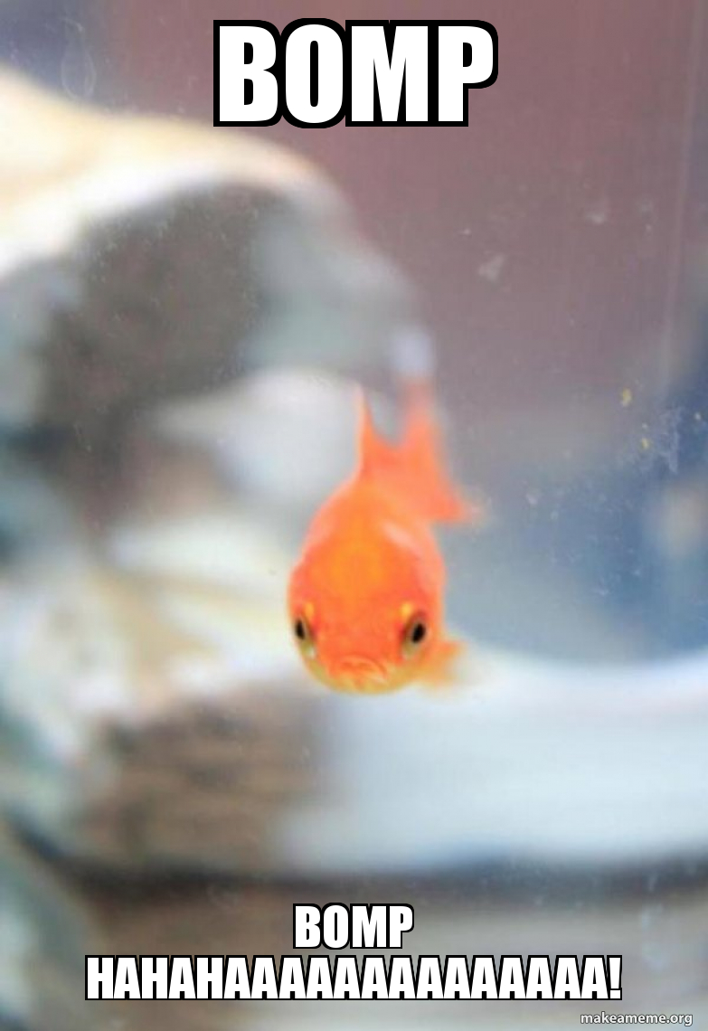 Derp Fish Memes