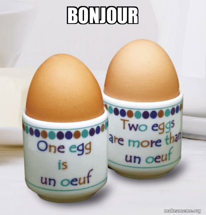 Bonjour Meme Generator