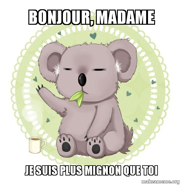 Bonjour Meme Mignon Bonjour