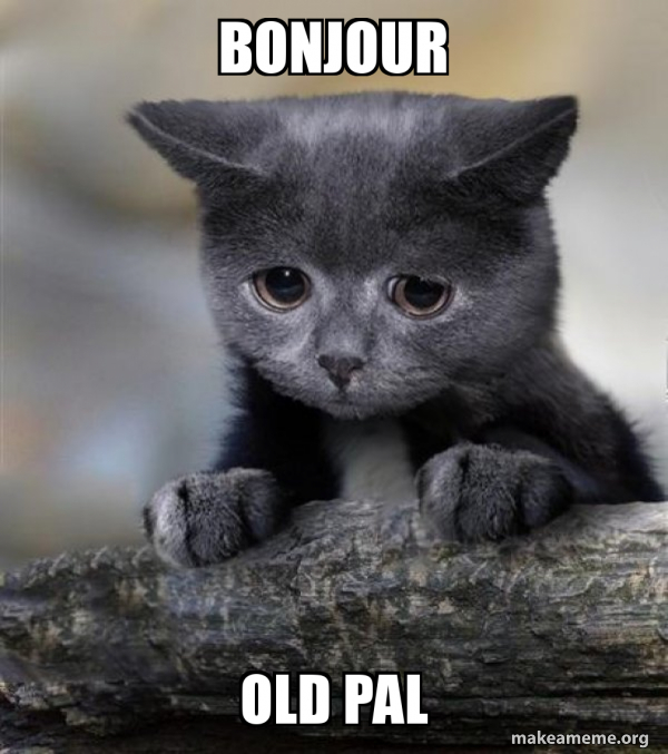 Bonjour Old pal - Confession Cat Meme Generator