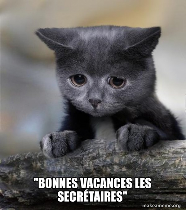 "Bonnes vacances les secrétaires" - Confession Cat Meme Generator