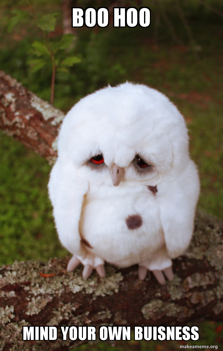 Boo Hoo Memes