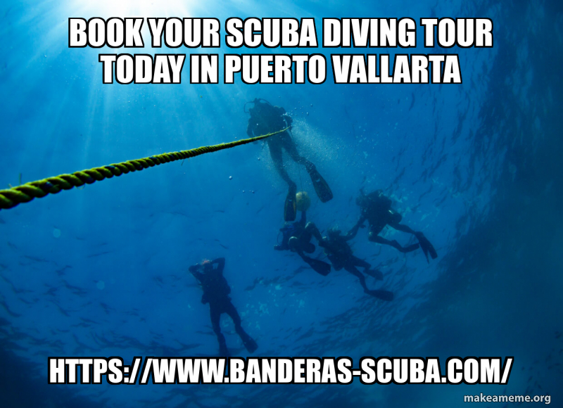Book Your Scuba Diving Tour Today in Puerto Vallarta https://www ...