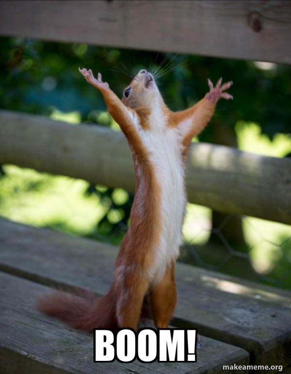 BOOM! - Happy Squirrel Meme Generator