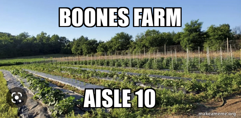 Boones farm Aisle 10 Meme Generator